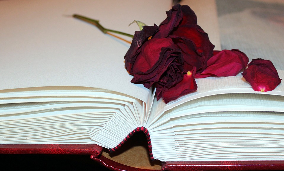 Things inside books - Susannah Fullerton