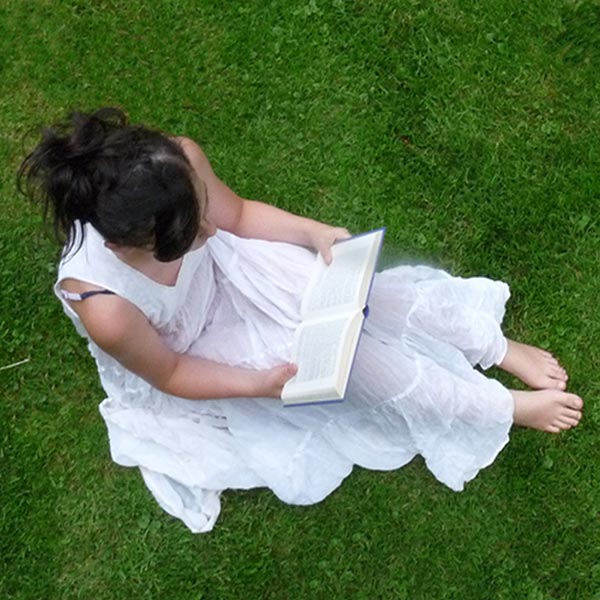 Notes From A Book Addict - Susannah Fullerton