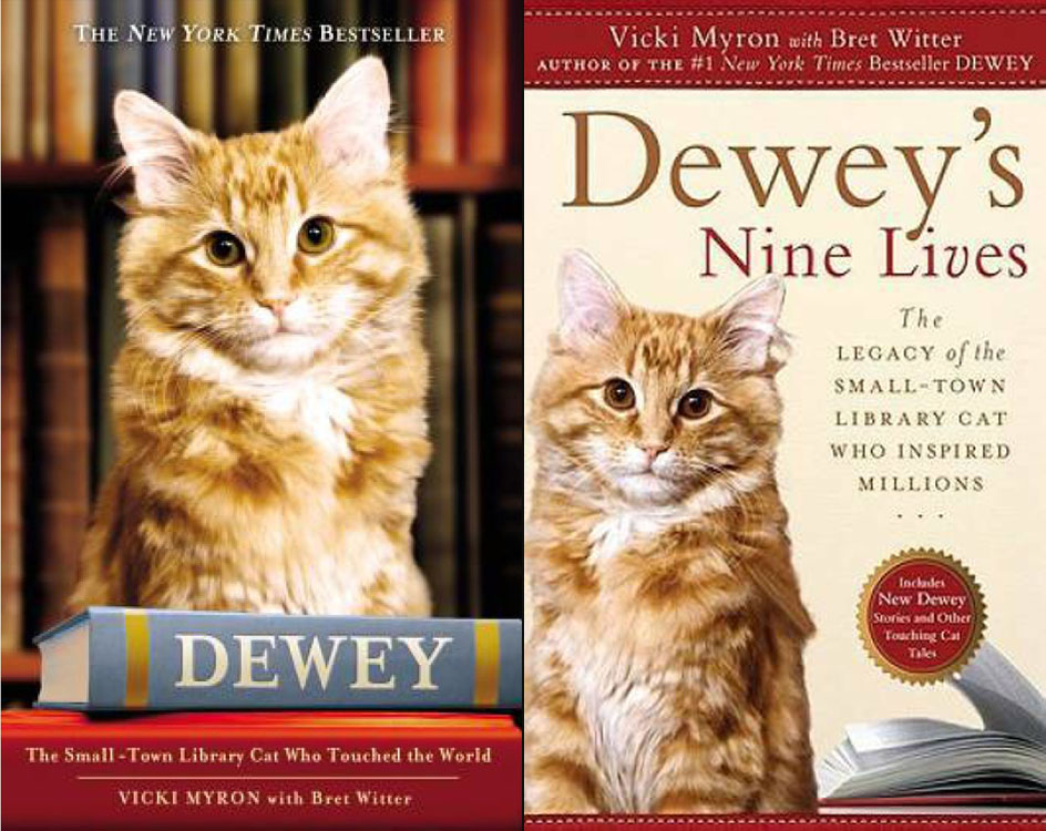 The Jane Austen Remedy - Susannah Fullerton