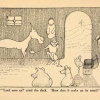 The Story of Doctor Dolittle - Susannah Fullerton