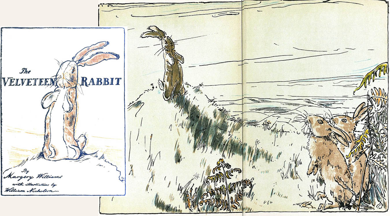 The Velveteen Rabbit - Susannah Fullerton