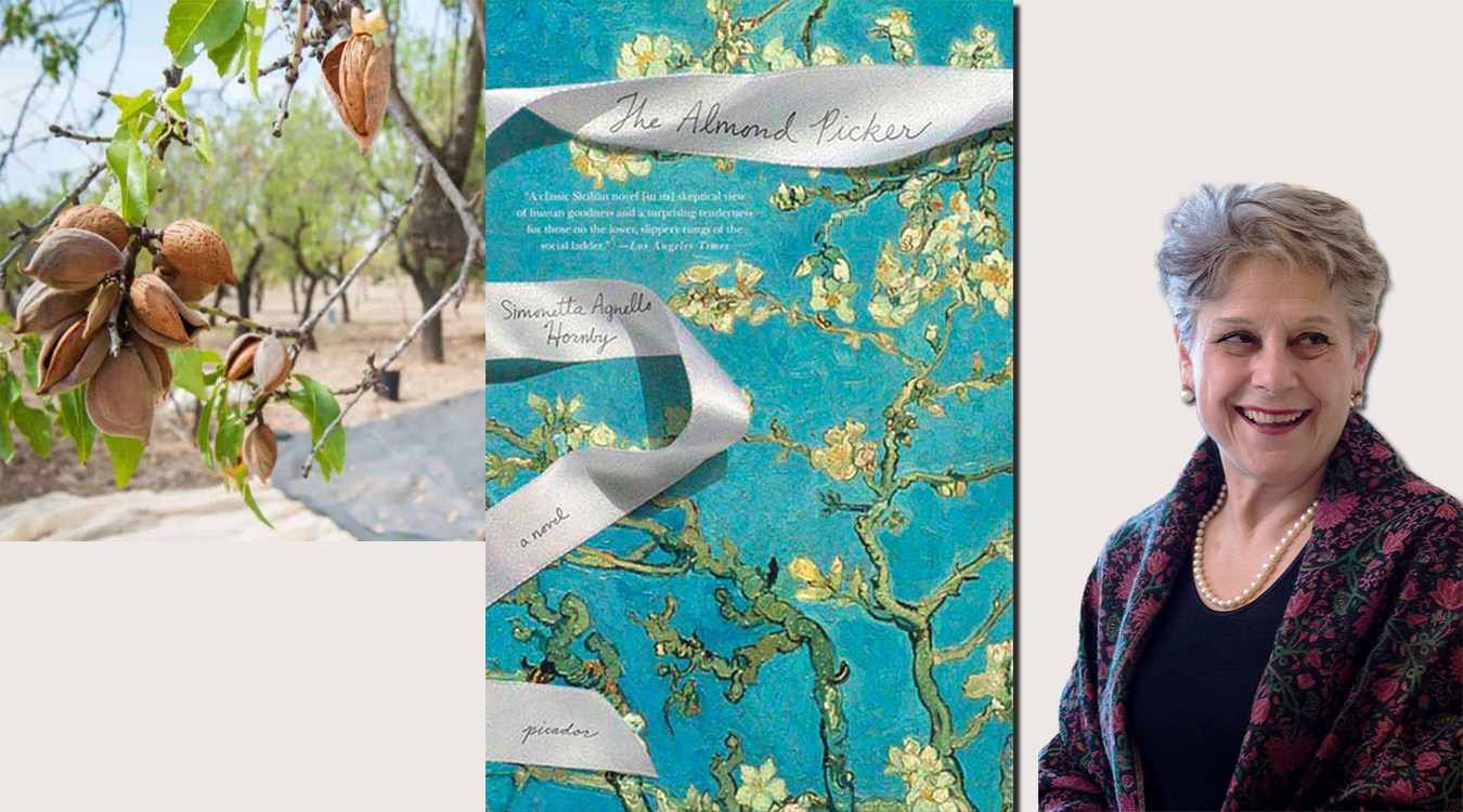 The Almond Picker - Susannah Fullerton