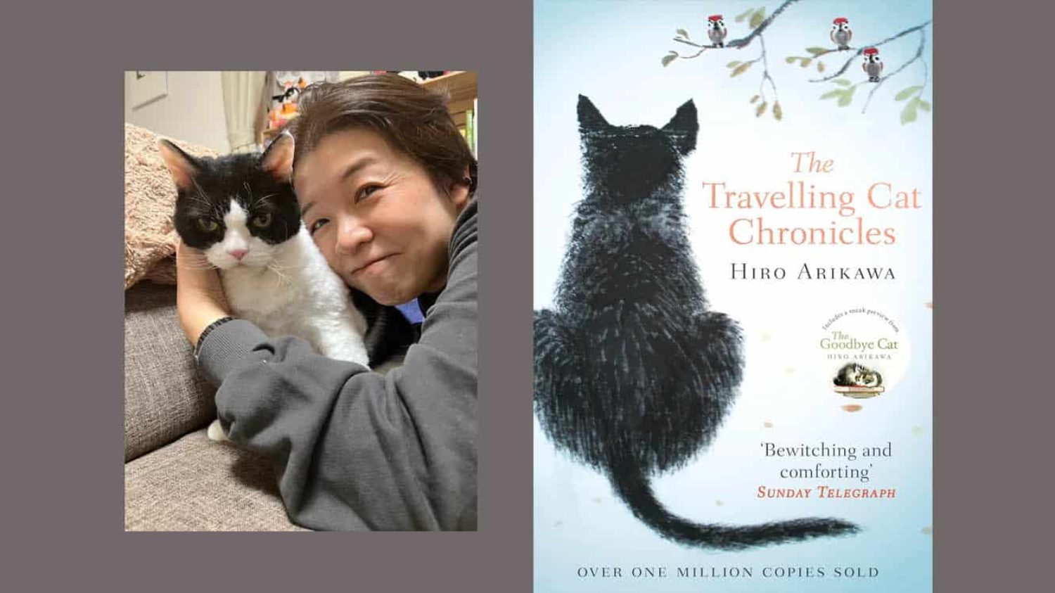 The Travelling Cat Chronicles - Susannah Fullerton