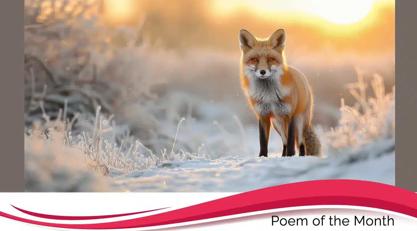 Ted Hughes & The Thought-Fox - Susannah Fullerton