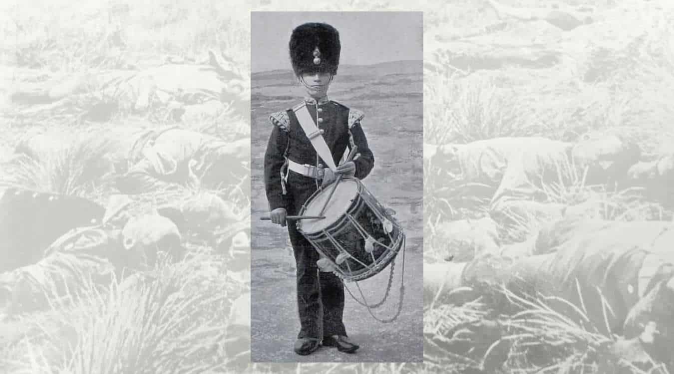 Thomas Hardy & Drummer Hodge - Susannah Fullerton